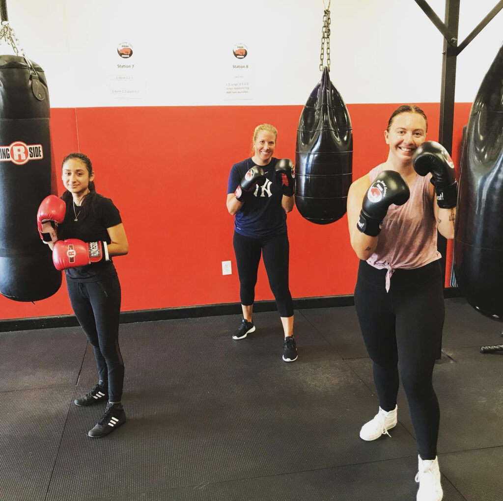 Dynamic Circuit Stations - The Sweet Science Naples